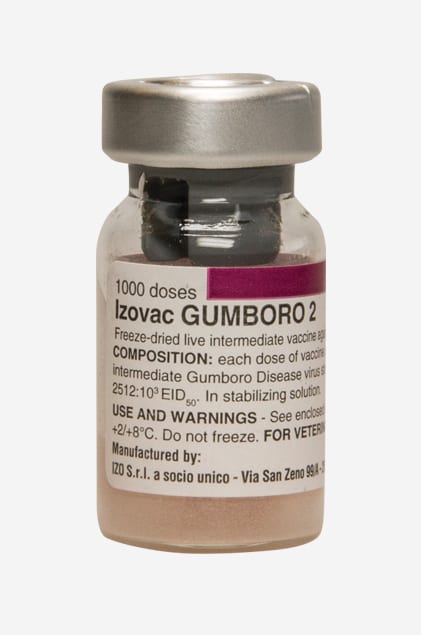 Izovac Gumboro 2 | Pacificvet