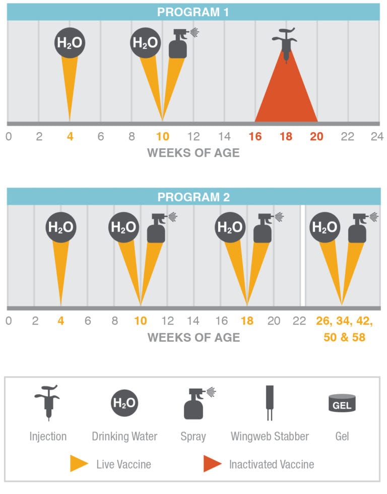 Cevac® Mass L | Pacificvet