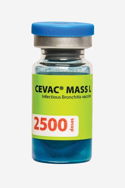 Cevac® Mass L | Pacificvet